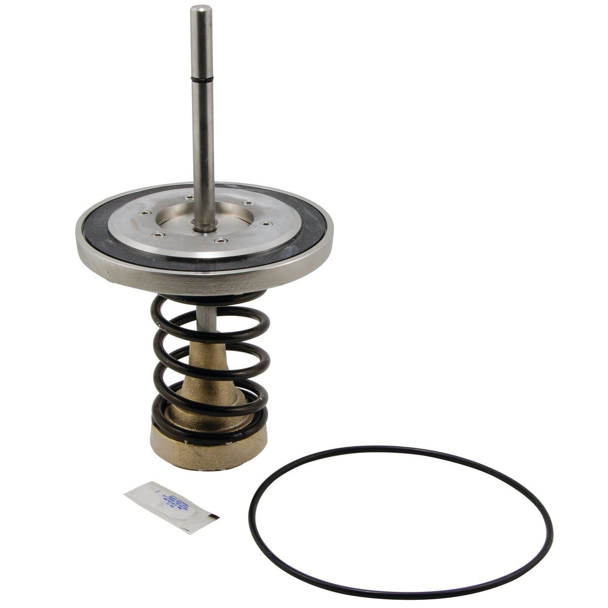 0794098 (Watts) | 6 Inch | 909 Lead Free First Check Repair Kit