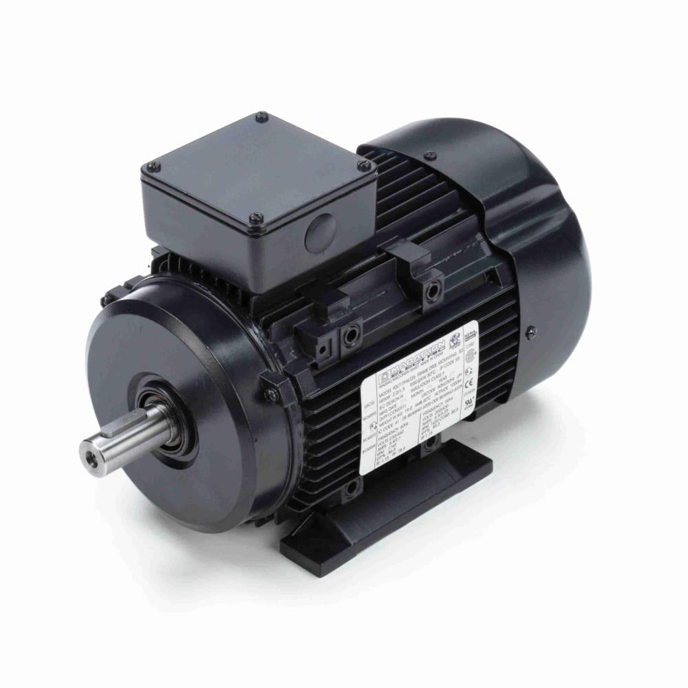 MR319A | IEC Motor | 2 HP | 3 Phase | TEFC | 1745 RPM | 230/460 Volts
