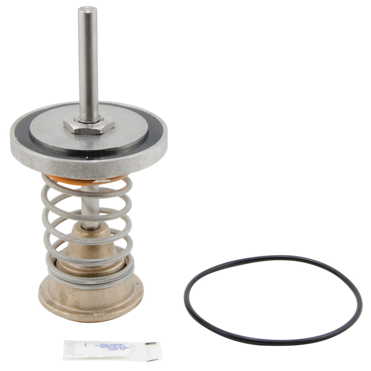 0794097 (Watts) | 4 Inch | 909 Lead Free First Check Repair Kit