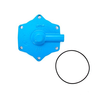 0887288 (Watts) | 2-1/2 - 3 Inch | 007 DC Cover Kit
